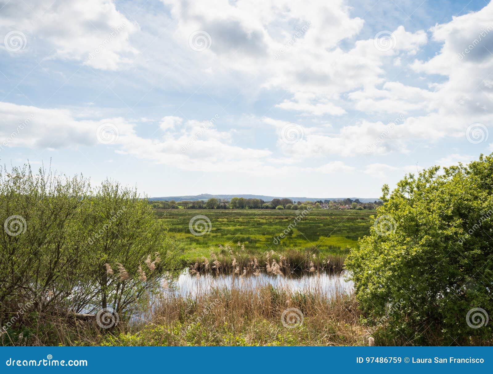 River in Green Spring Summer Countryside Stock Image - Image of green ...