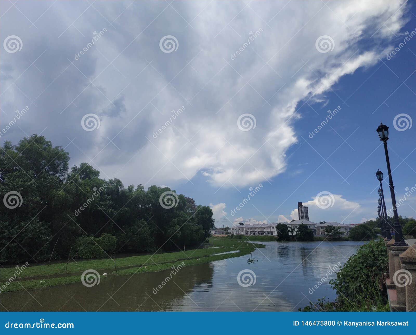 River stock photo. Image of river, cloud, green, tree - 146475800