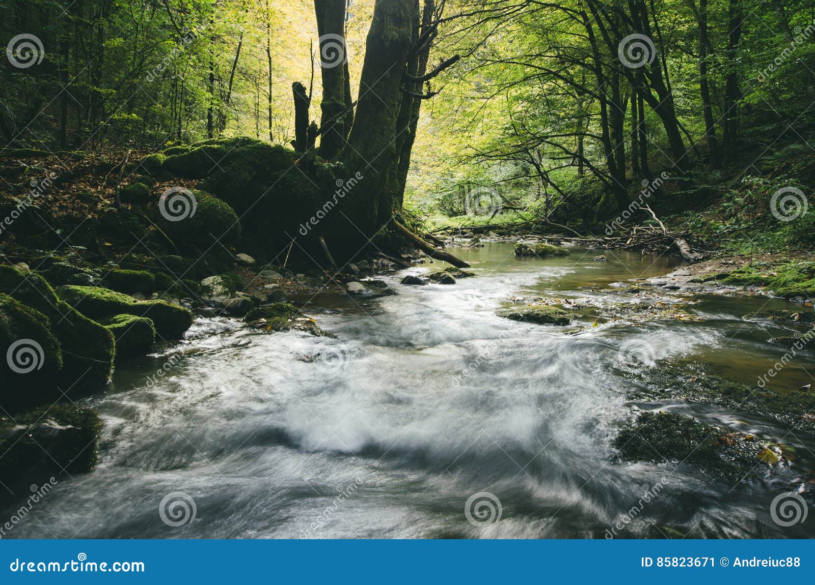 River with greenery stock image. Image of transylvania - 85823671