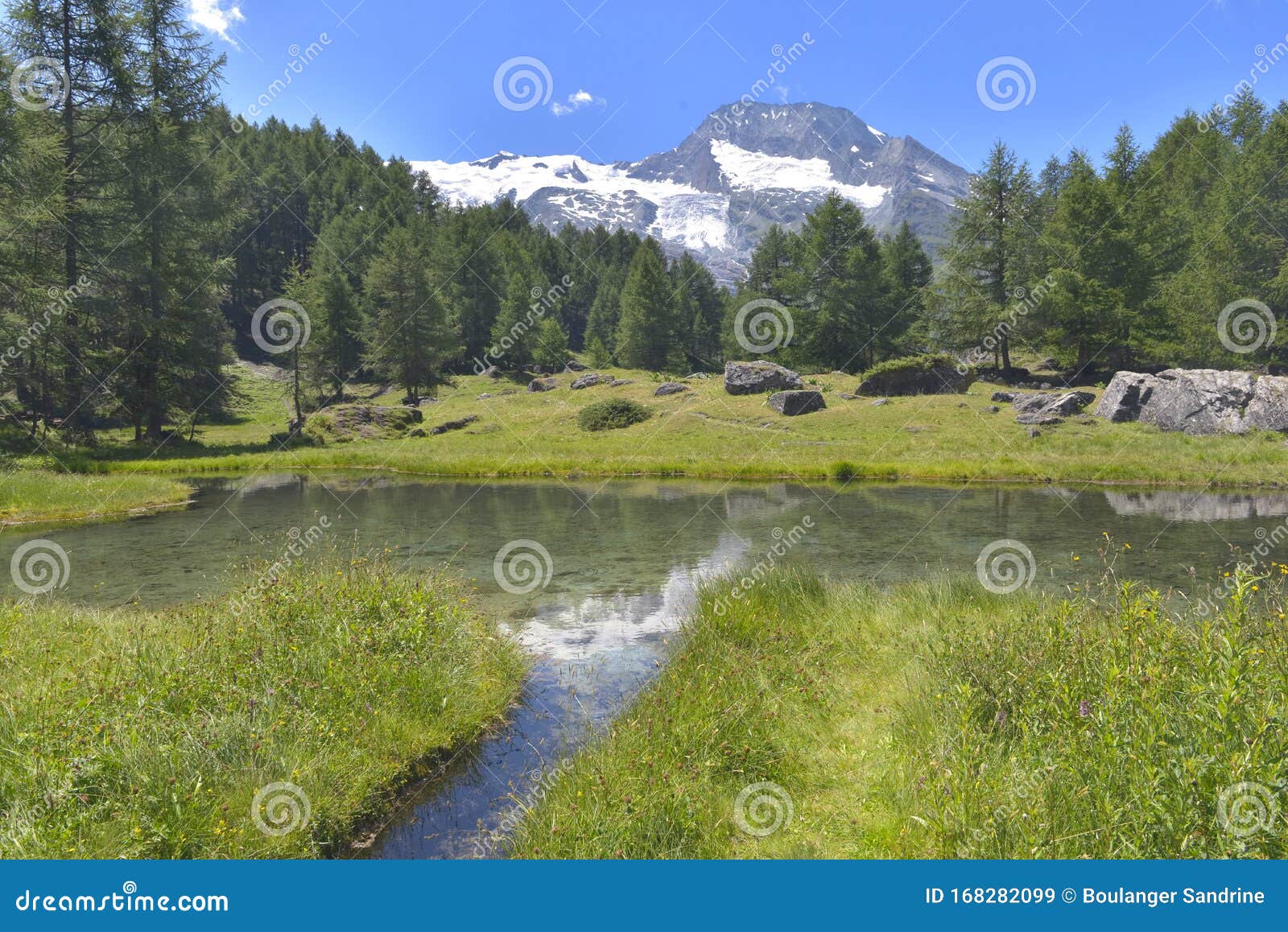 River in a Greenery Valley with View on Forest and Glacier in Summer ...