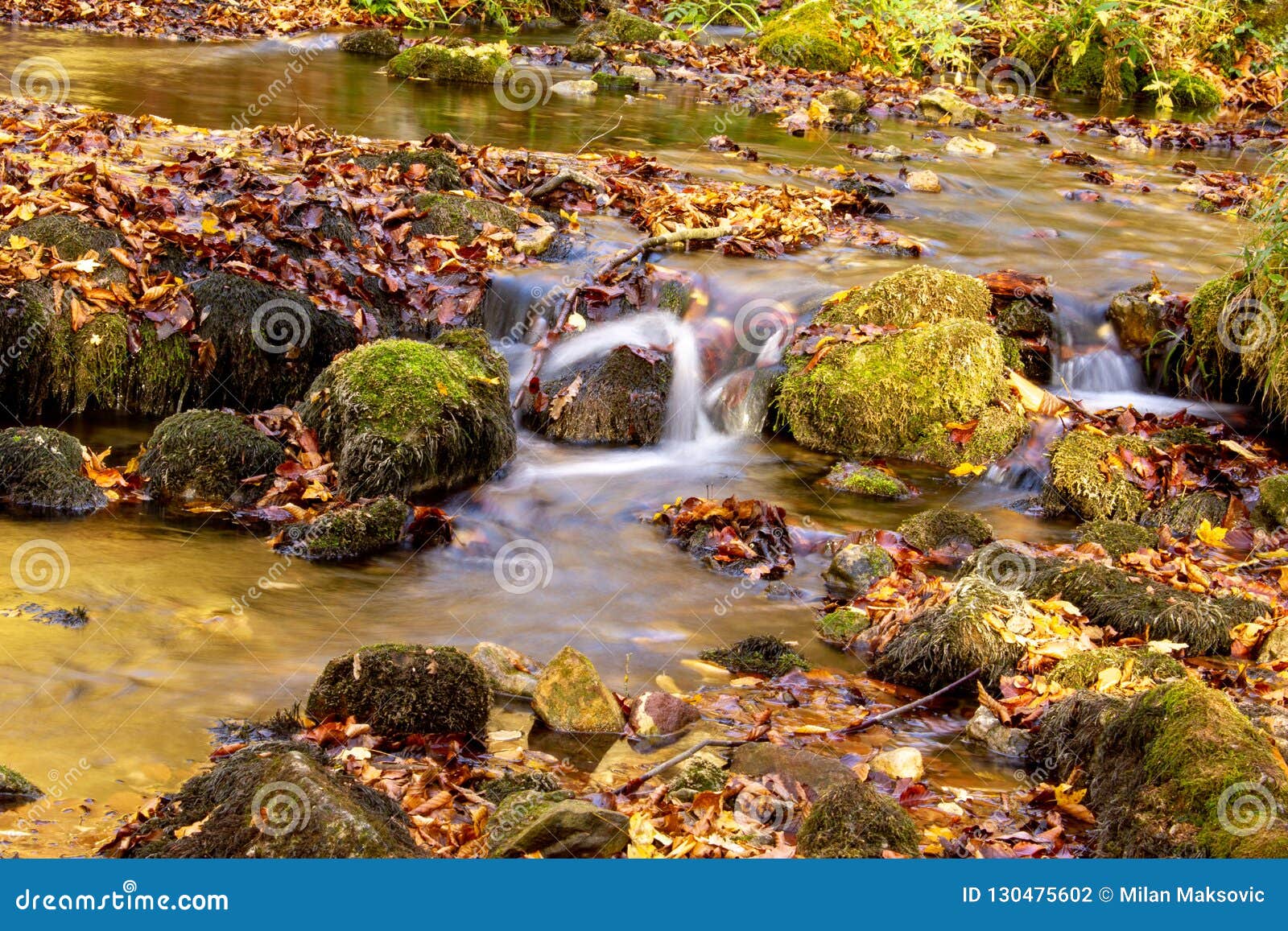 River Grza in autum stock photo. Image of green, golden - 130475602