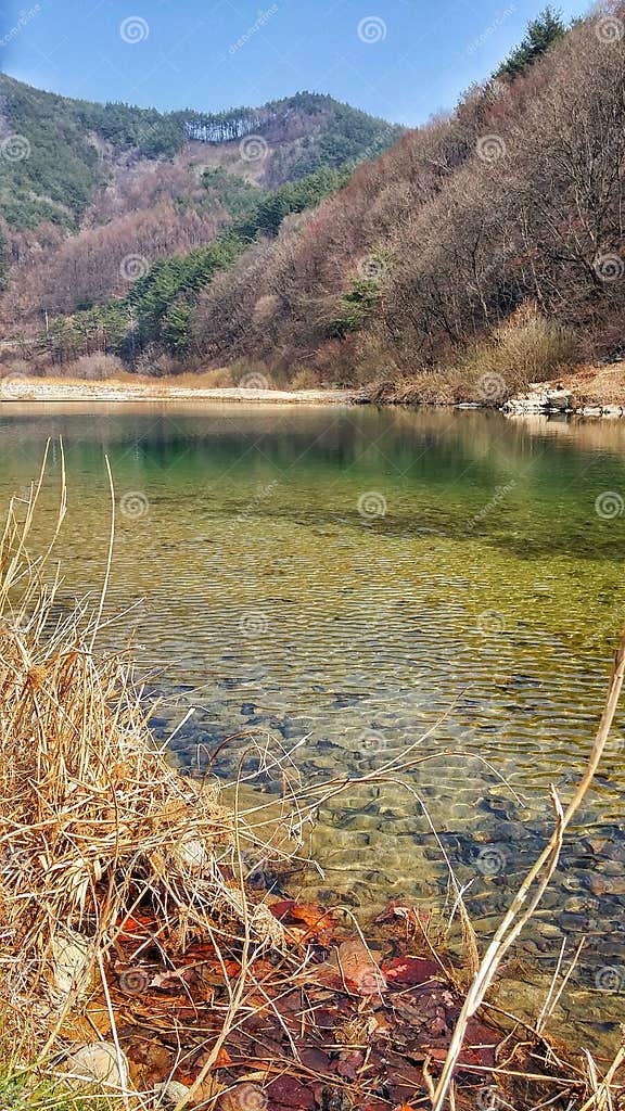 The river stock photo. Image of highlands, spring, straw - 84794420