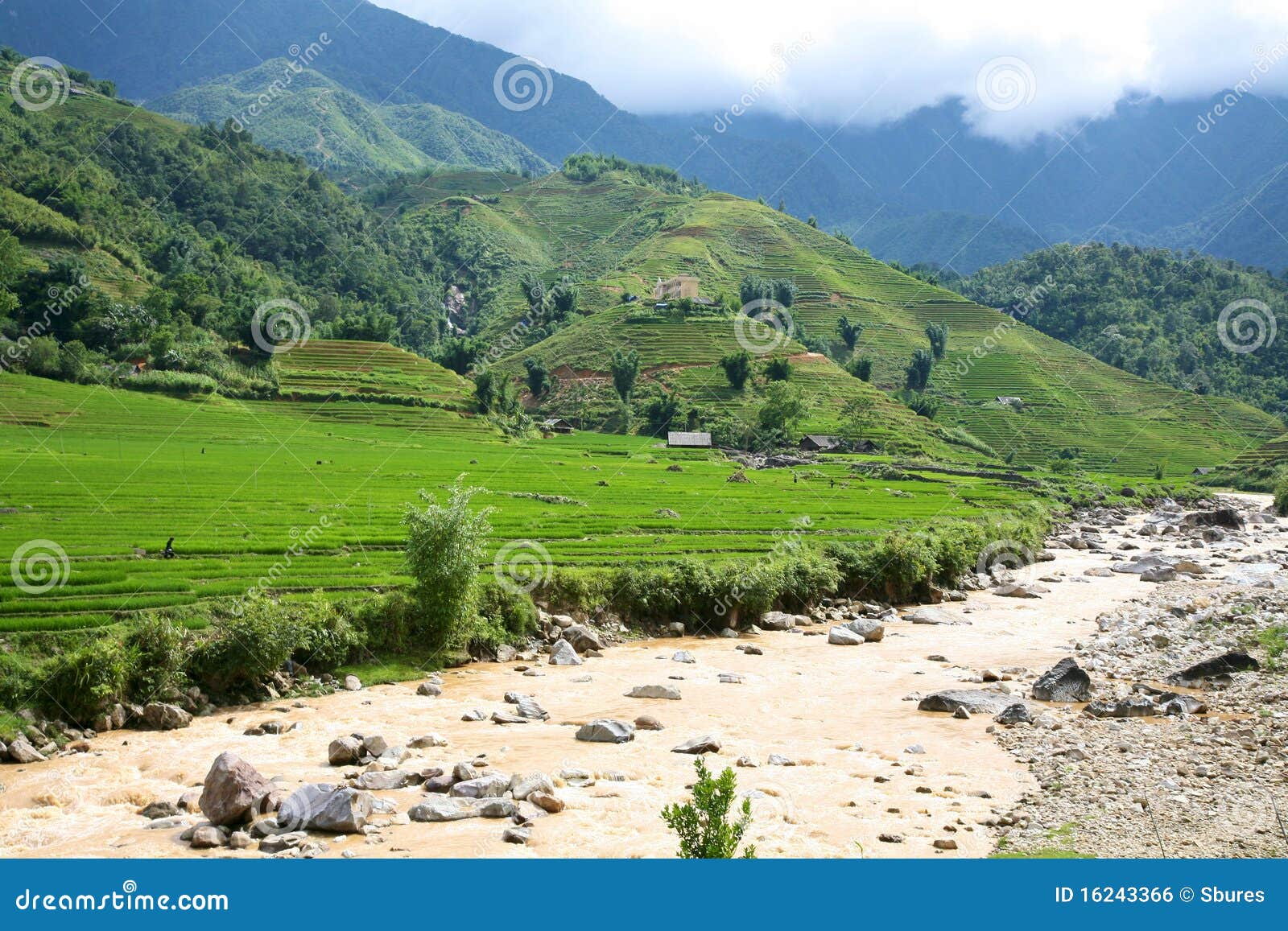 River and Hills in Sapa, Vietnam Stock Photo - Image of lines, balinese ...