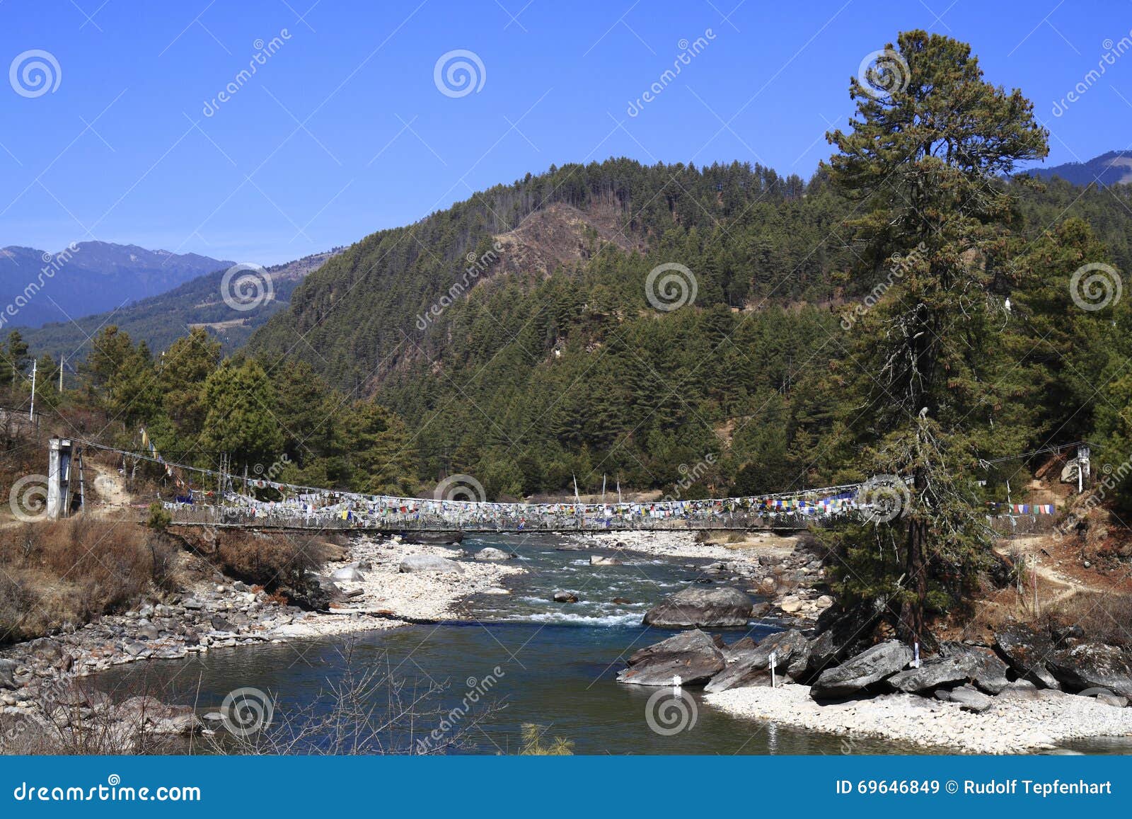 River in Himalaya Mountain stock image. Image of forest - 69646849