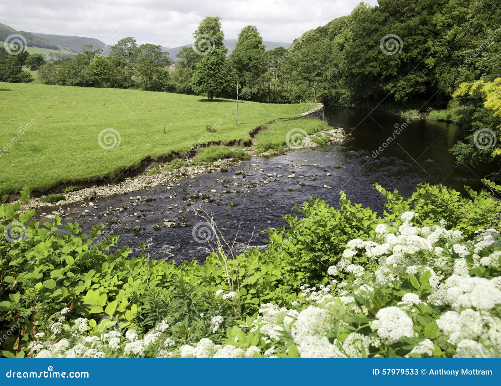 River Hodder stock image. Image of lancashire, bowland - 57979533