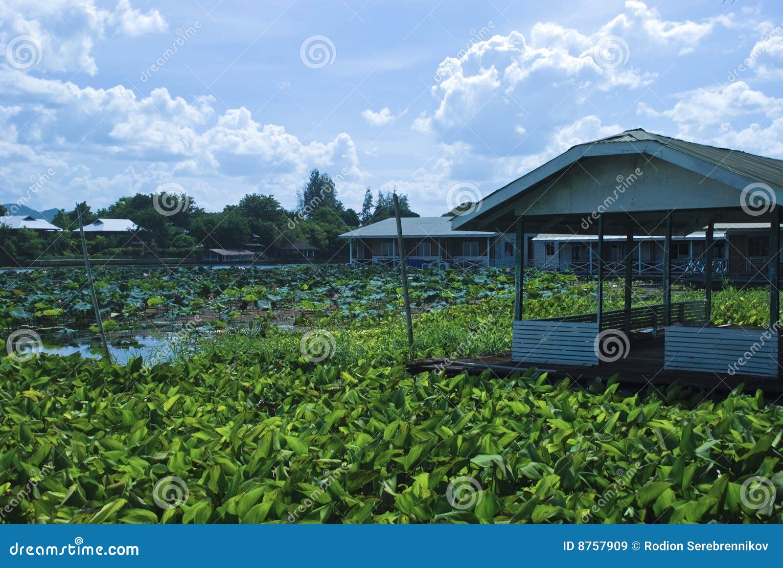 River house stock image. Image of rural, pond, home, scene - 8757909