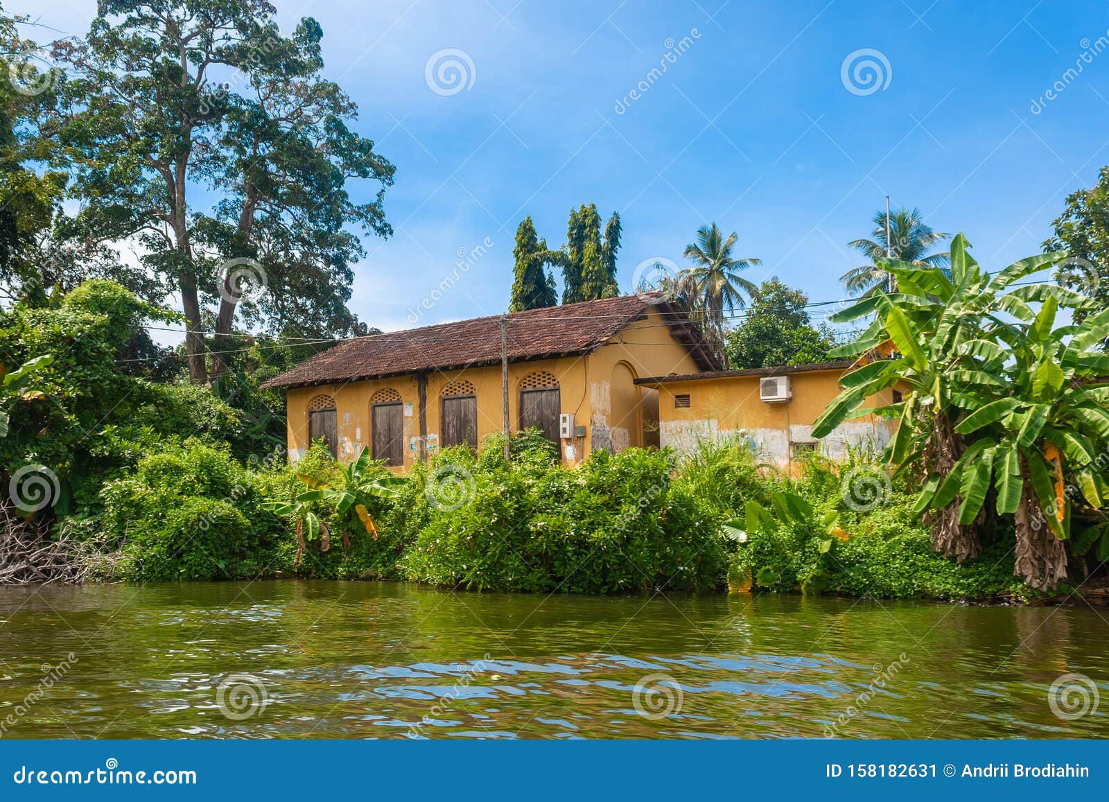 House by the river stock image. Image of forest, paradise - 158182631