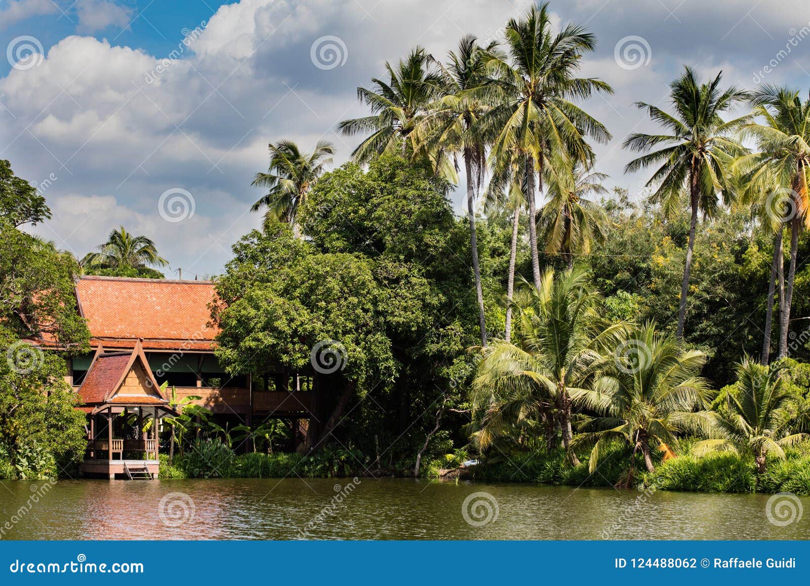 River House in a Tropical Forest Stock Photo - Image of wild, peace ...