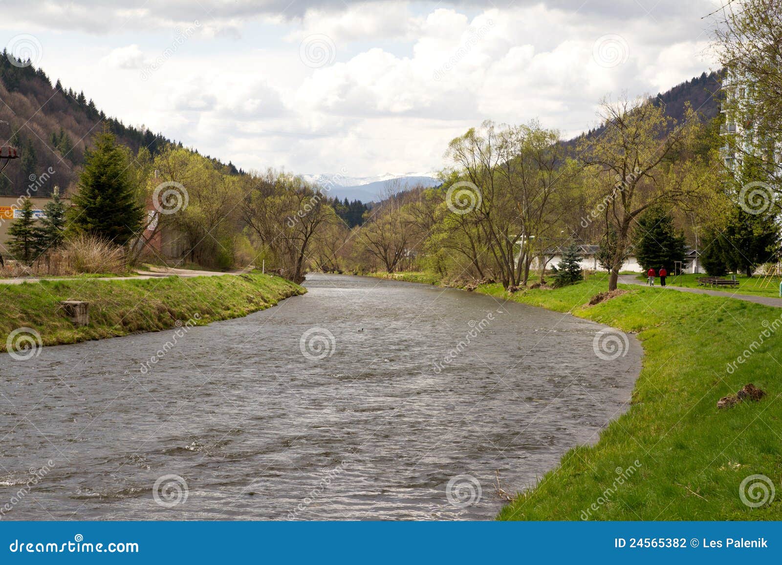 River Hron in Central Slovakia Stock Photo - Image of home, duck: 24565382
