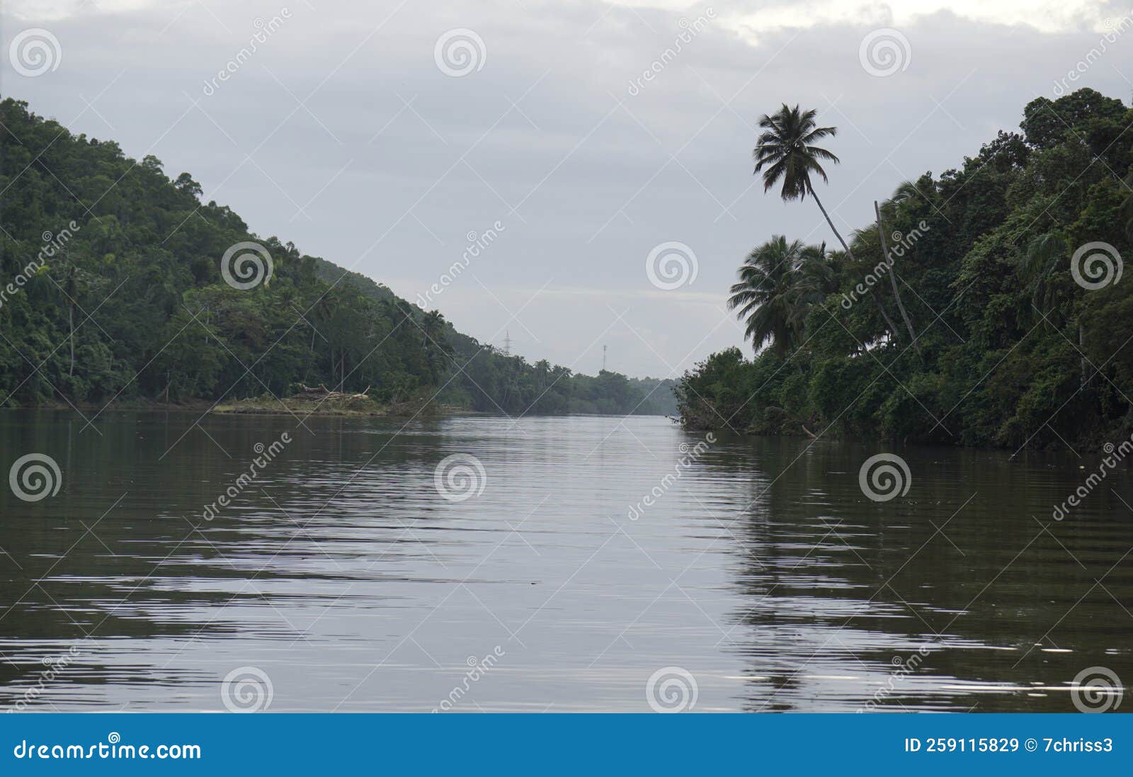 River Iguamo in the Dominican Republic Stock Image - Image of bayahibe ...