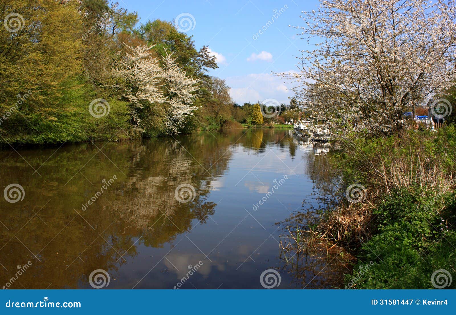 The River stock image. Image of landscape, woods, beautiful - 31581447