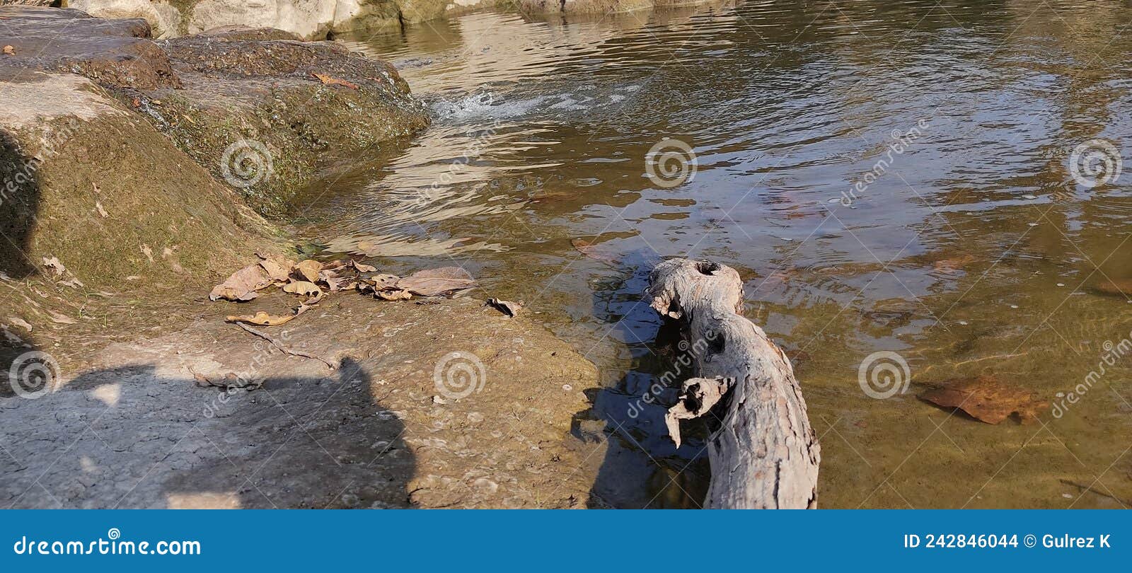 River in India Inner Madhya Pradesh State Stock Photo - Image of river ...
