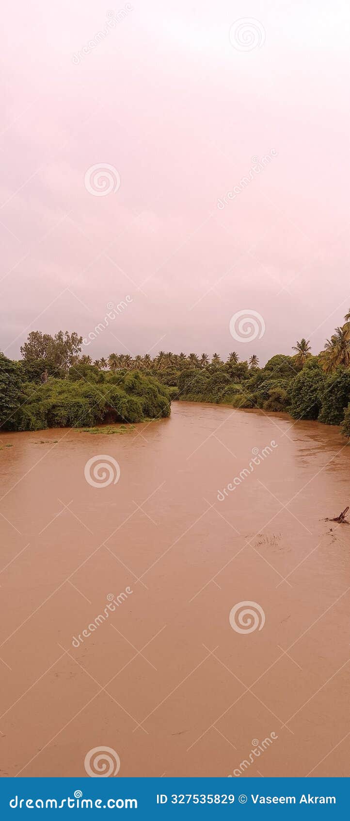 River. Indian River. Red Water. Water, Nature, Stock Image - Image of ...