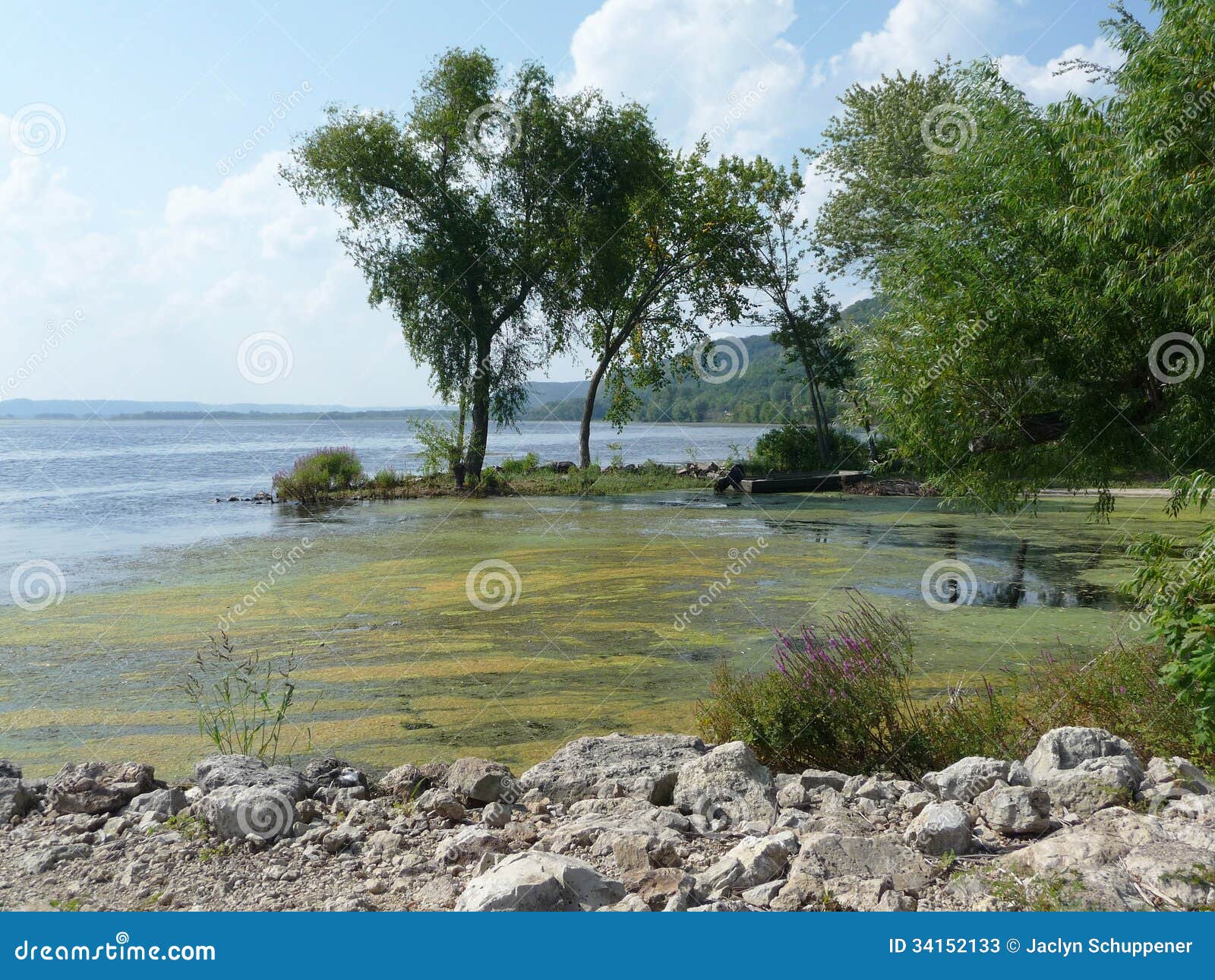 River Inlet stock image. Image of small, summer, boat - 34152133