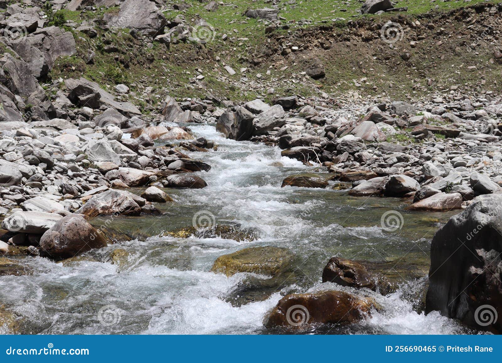 River Inside the Dense Forest in Himalaya Stock Image - Image of river ...