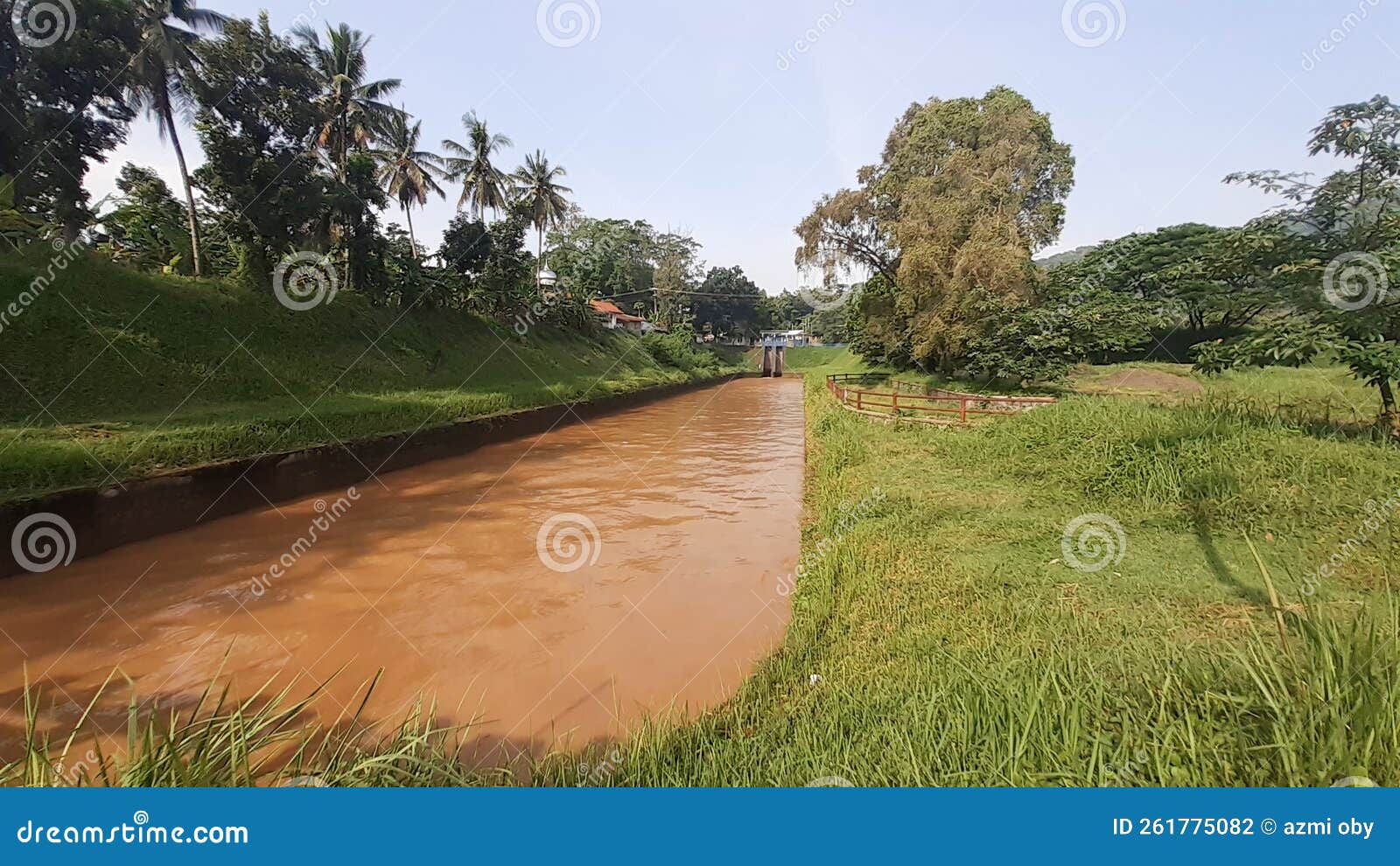 River in Irigation Threes and Gress Stock Photo - Image of lake, river ...