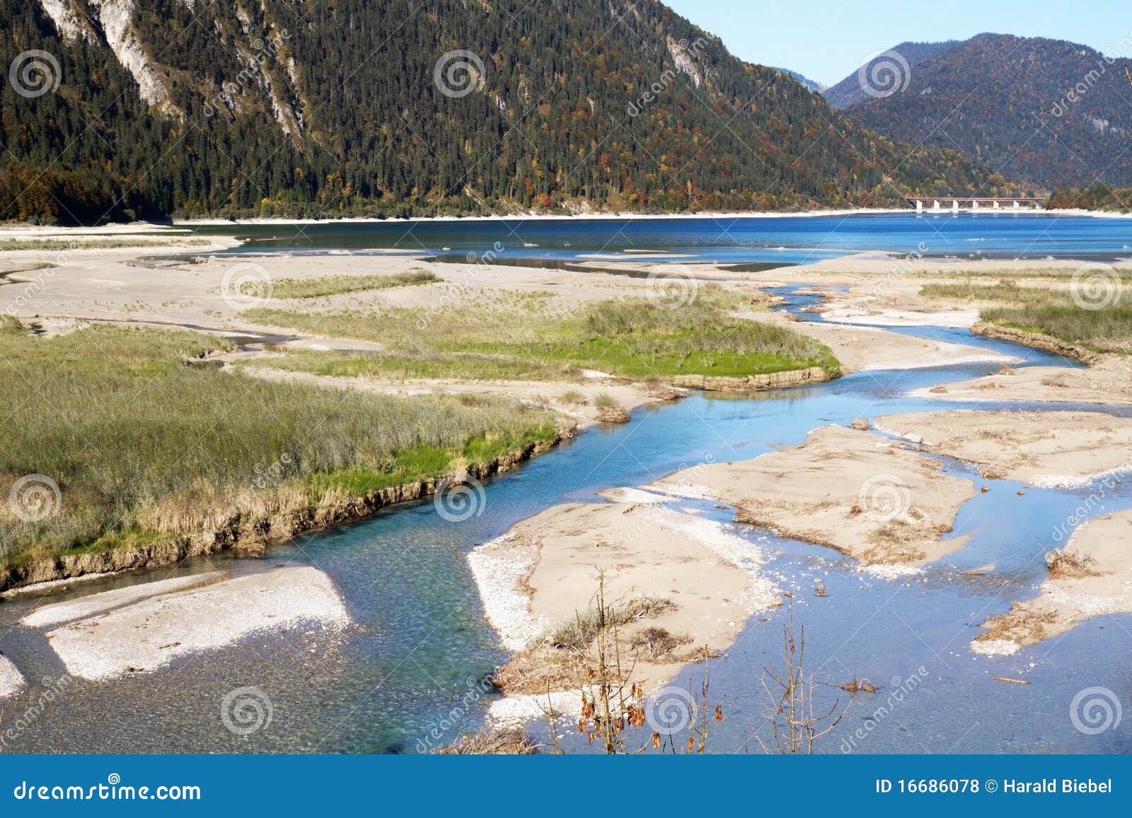River Isar stock photo. Image of drinking, excursion - 16686078