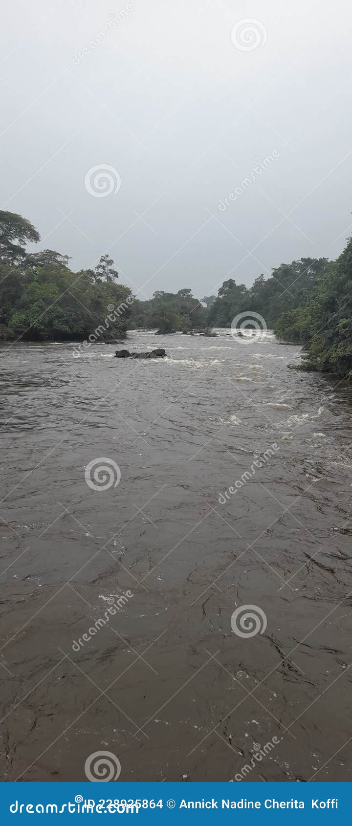 River in Ivory Coast, West Africa. Stock Photo - Image of stream, river ...