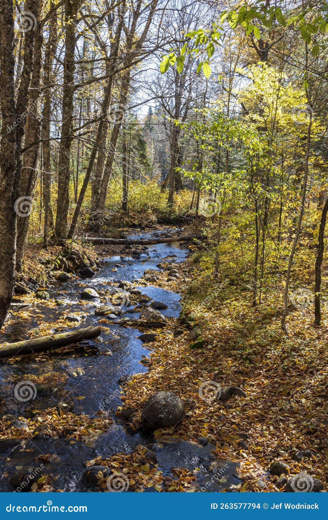 River at Jacques Cartier National Park. Quebec. Canada. Stock Photo ...