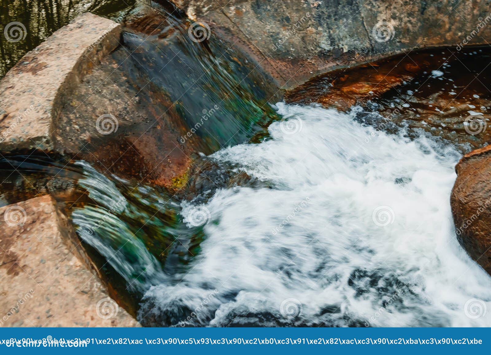 River joining the ocean stock photo. Image of forest - 159447002