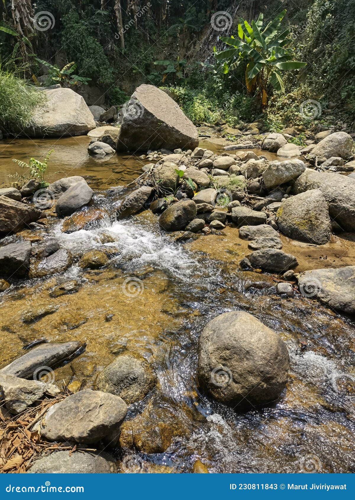 River in the jungle stock image. Image of rock, geology - 230811843