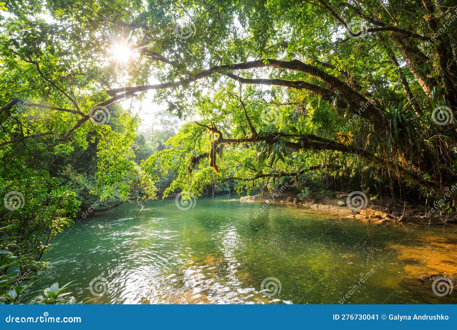 River in jungle stock image. Image of lake, serenity - 276730041