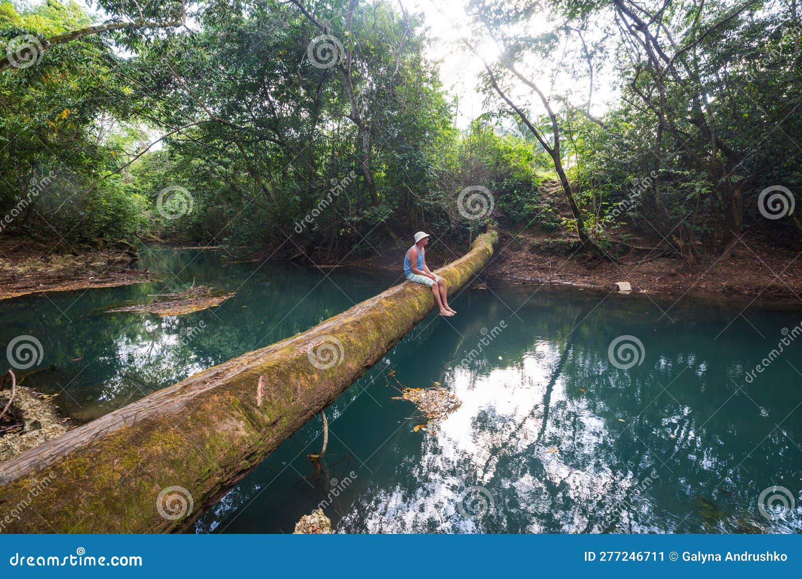 River in jungle stock image. Image of beautiful, jungle - 277246711