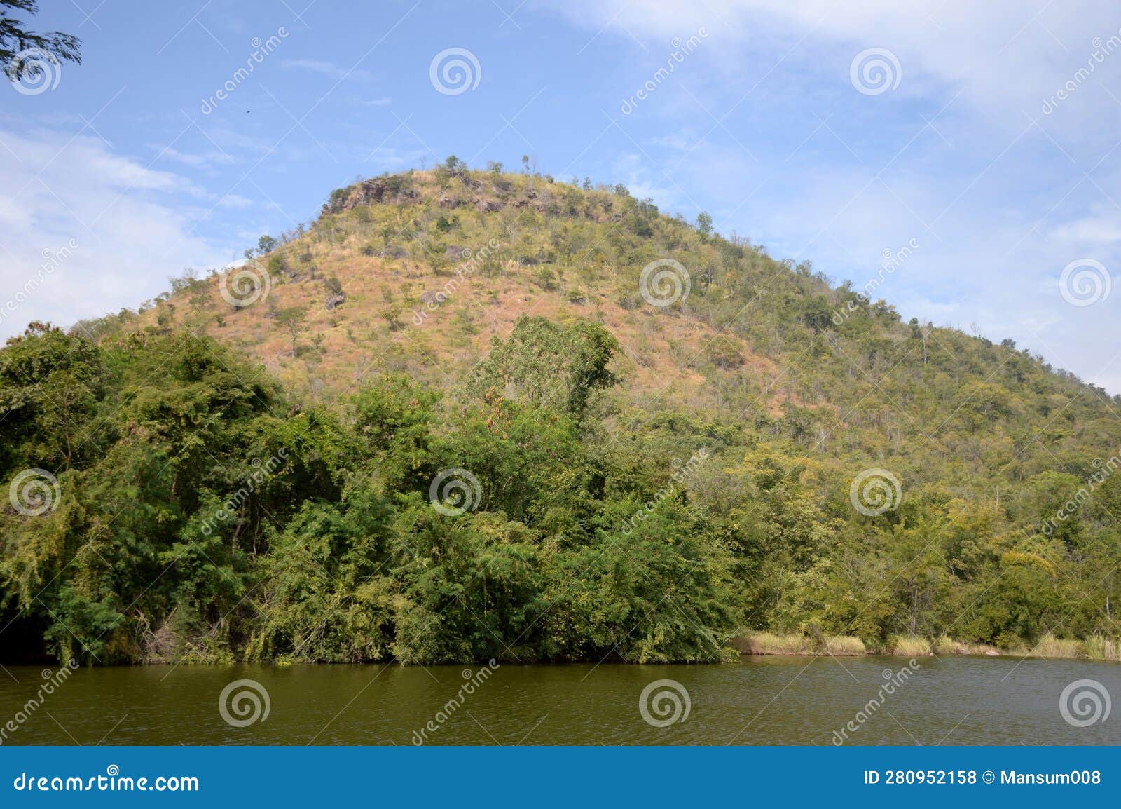 River in the Jungle in Country Thailand Stock Photo - Image of country ...