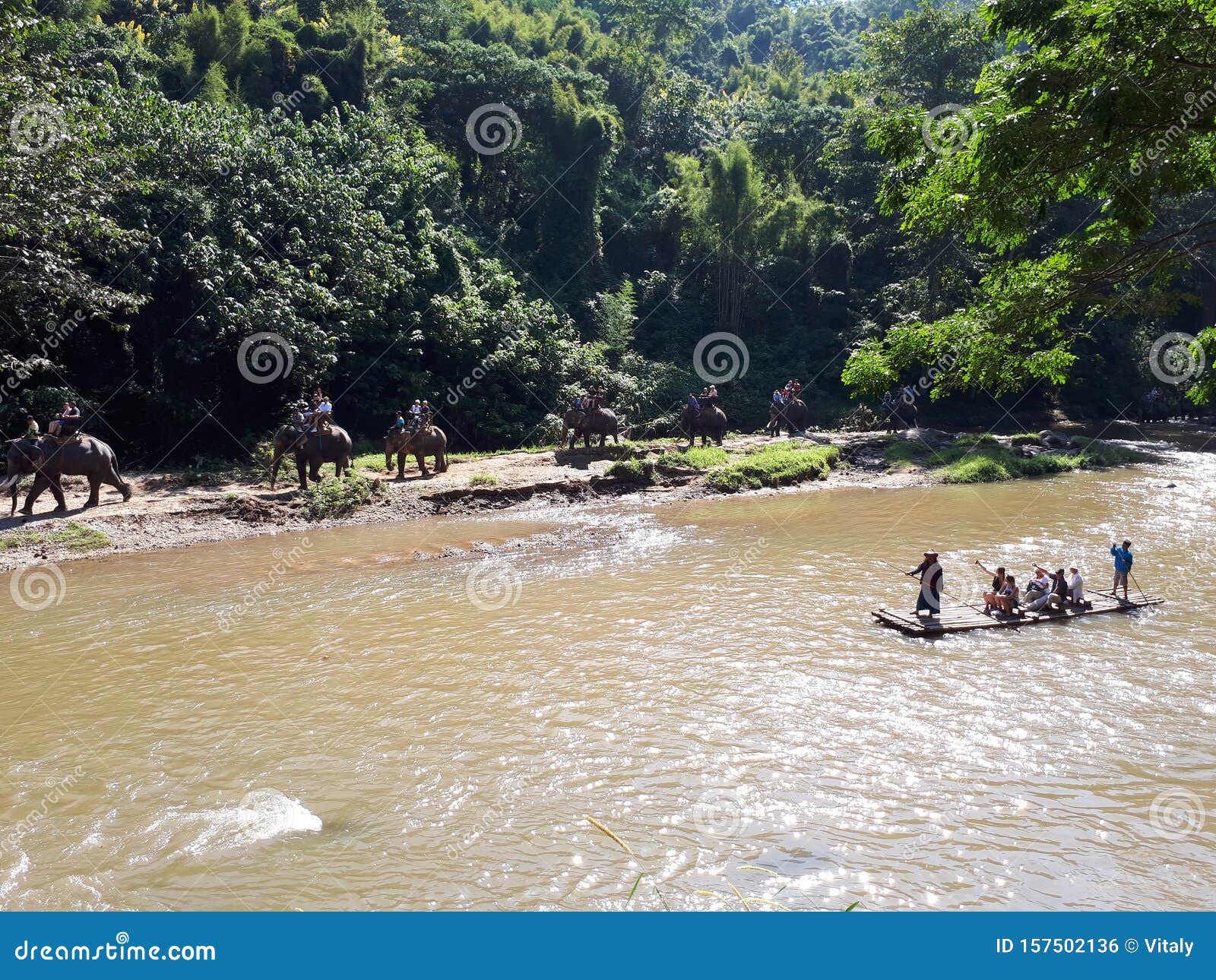 River in the jungle stock photo. Image of jungle, riverrafting - 157502136