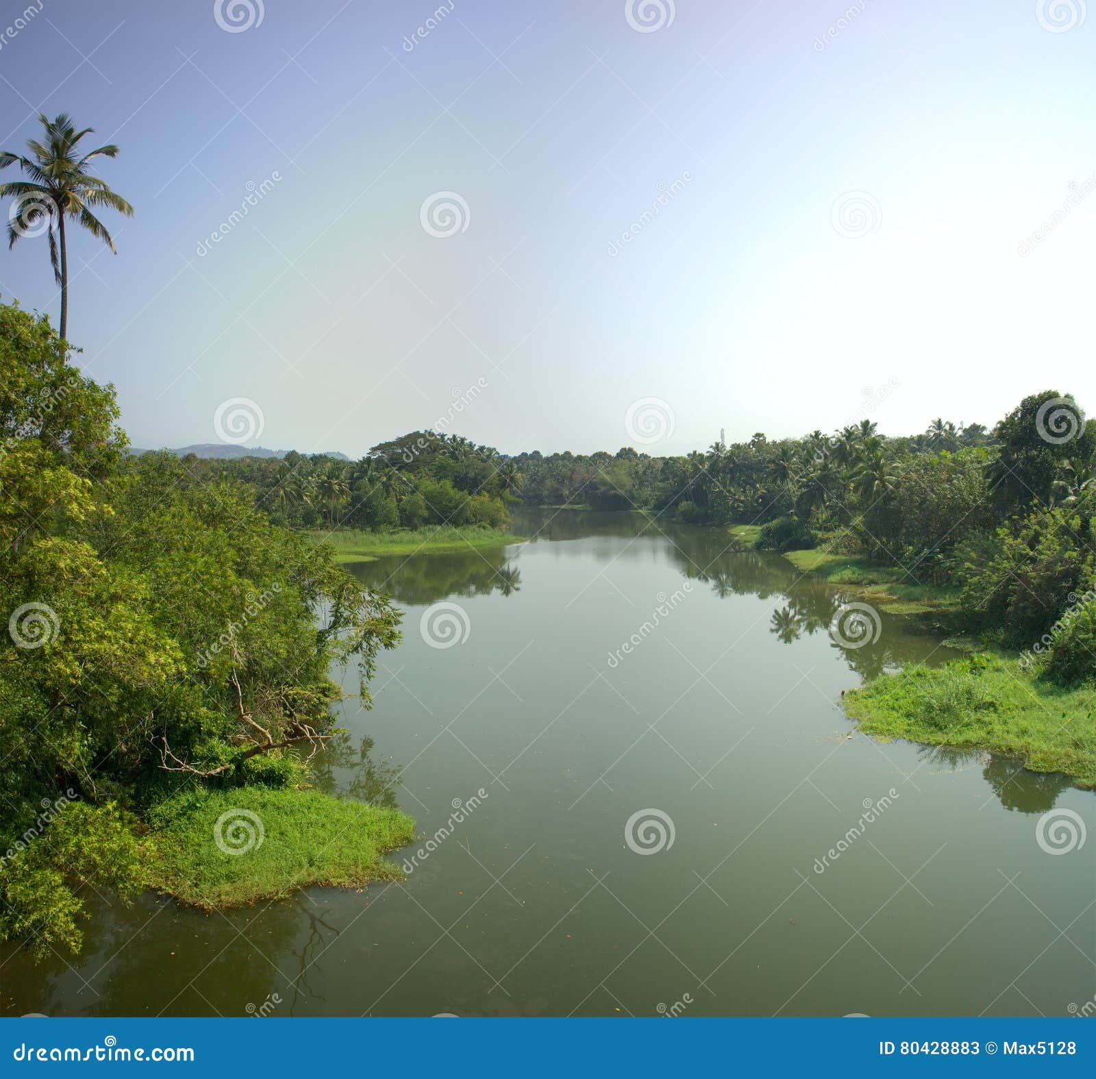 River in jungle stock image. Image of river, landscape - 80428883