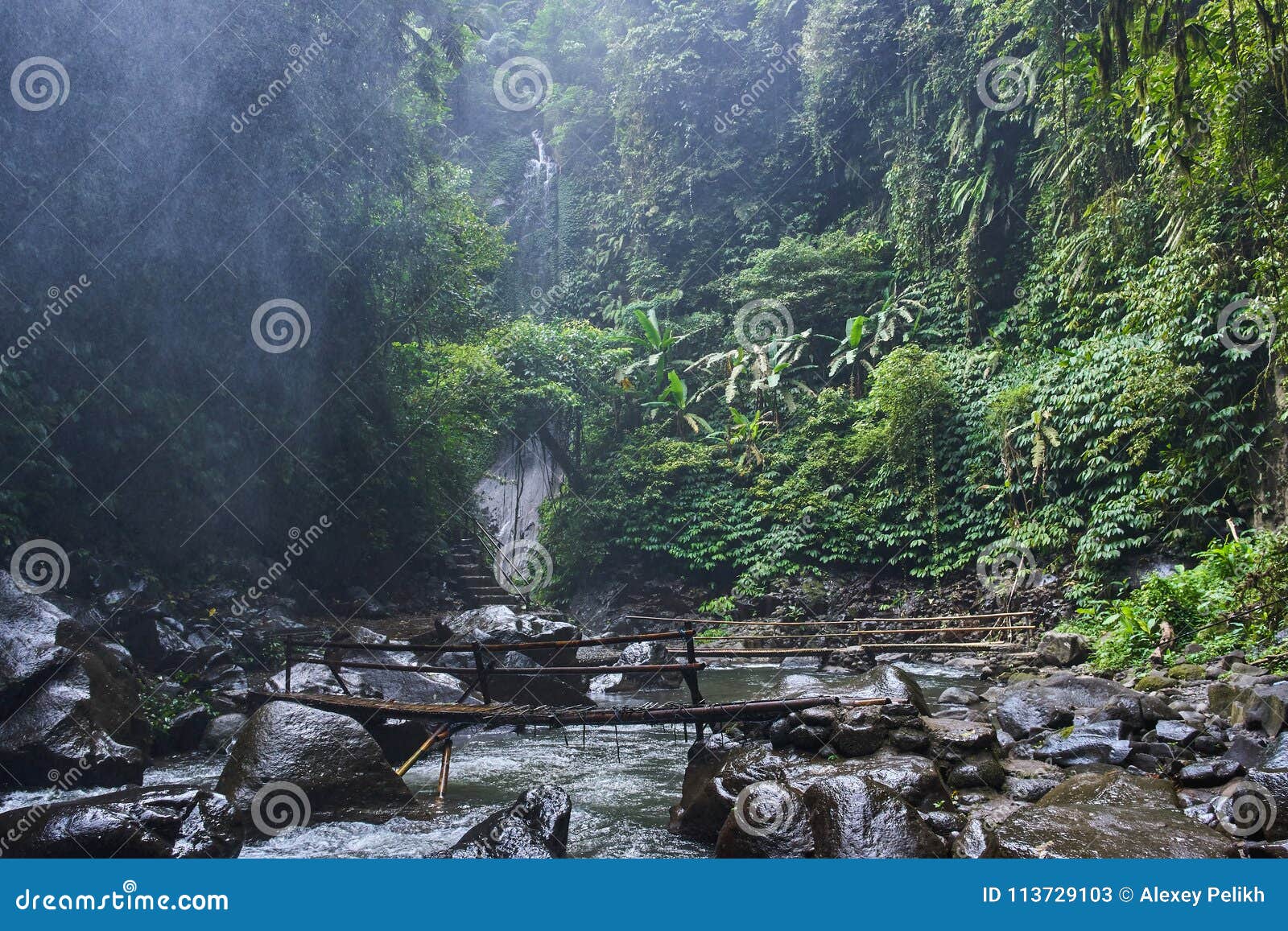 River in the jungle stock image. Image of rainforest - 113729103