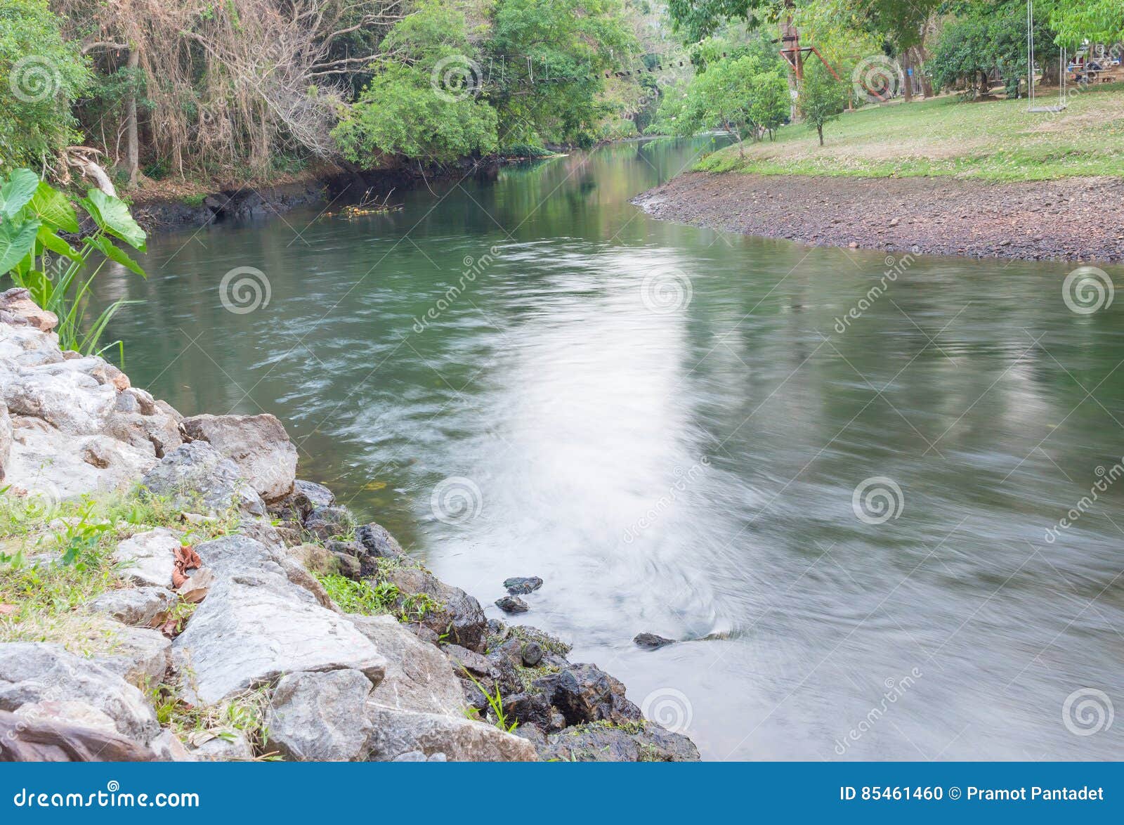 River in the Jungle. Small River in Jungle Stock Photo - Image of cloud ...