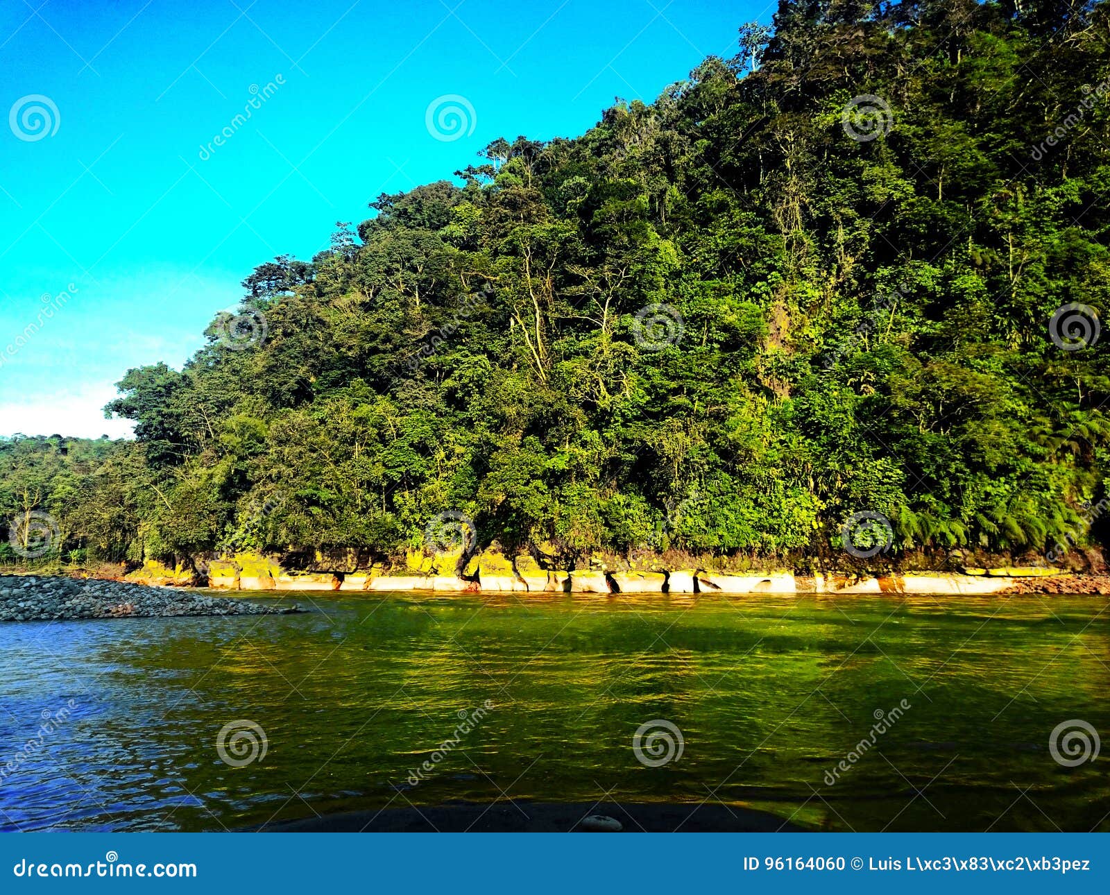 River through the jungle stock photo. Image of river - 96164060