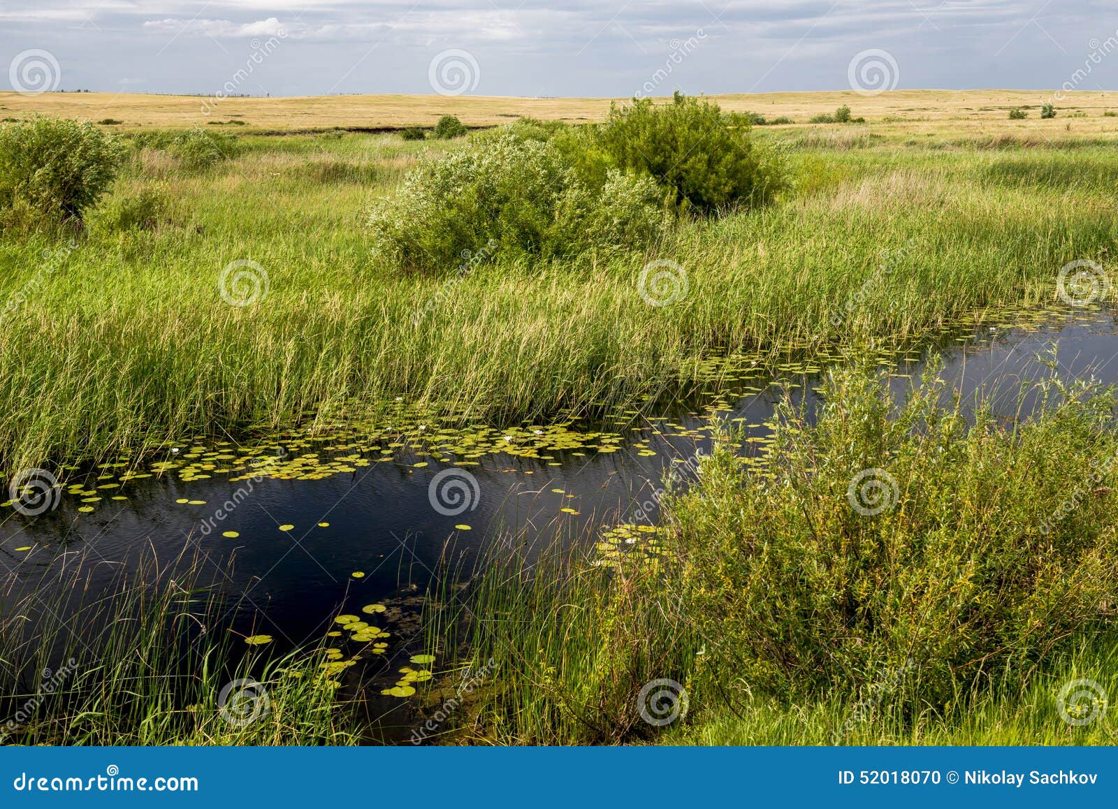 River Karaganka. stock photo. Image of color, nature - 52018070