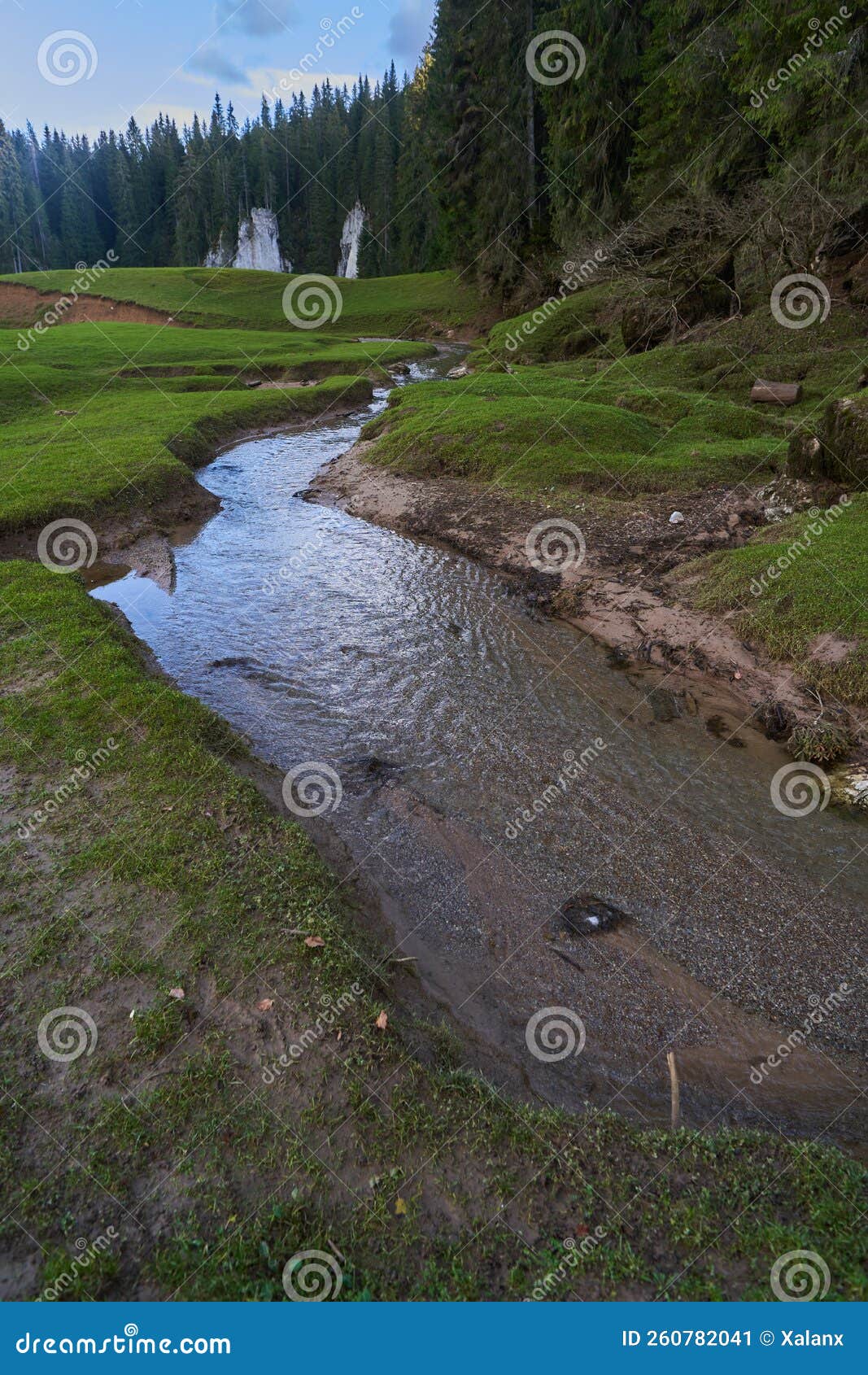 River from a Karst Spring in the Mountains Stock Image - Image of grass ...