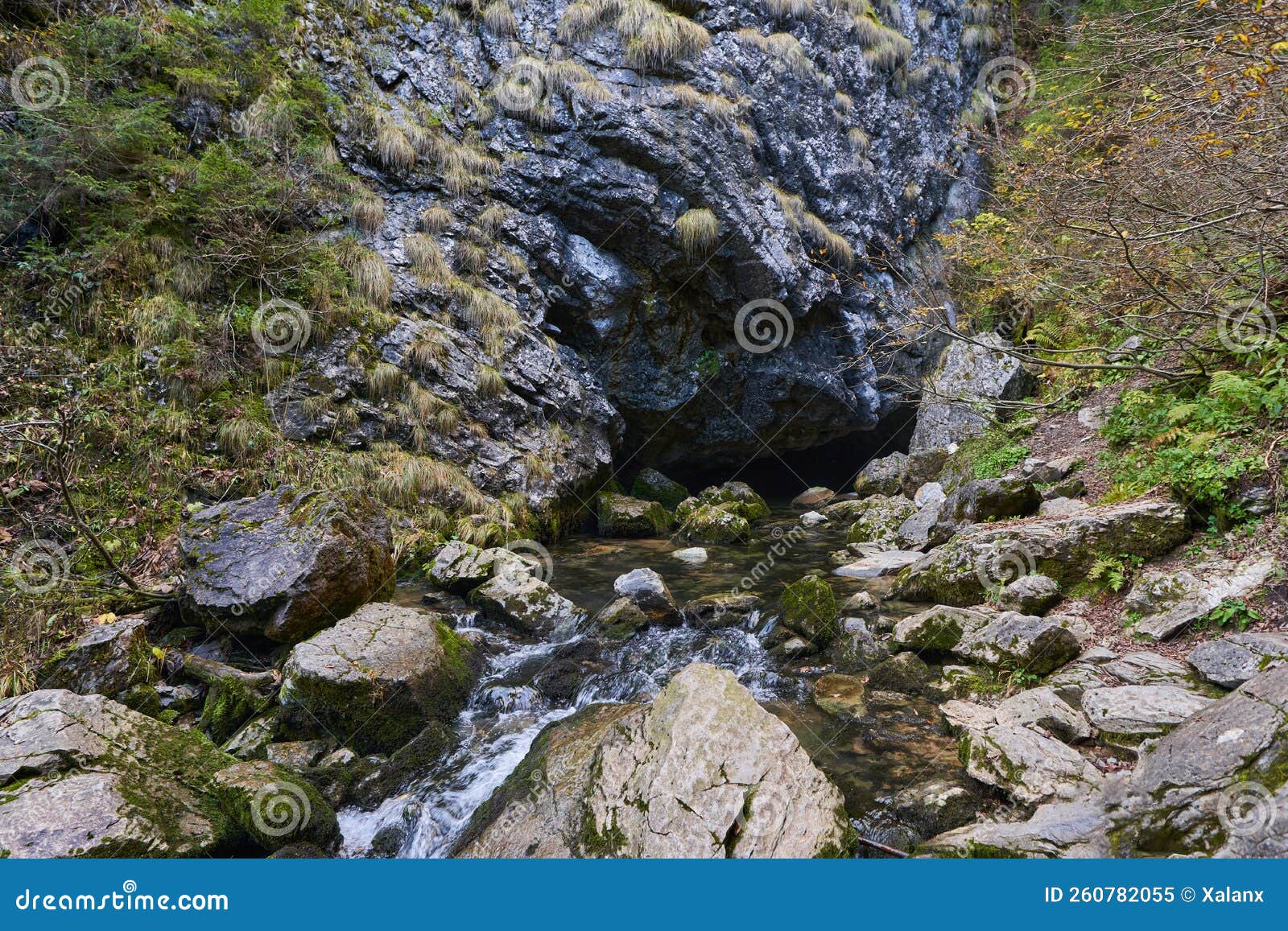 River from a Karst Spring in the Mountains Stock Image - Image of moss ...
