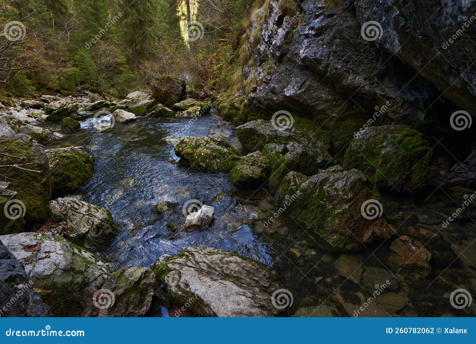 River from a Karst Spring in the Mountains Stock Photo - Image of karst ...