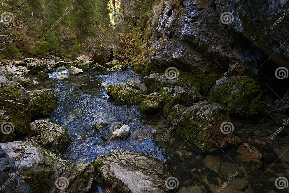 River from a Karst Spring in the Mountains Stock Photo - Image of karst ...