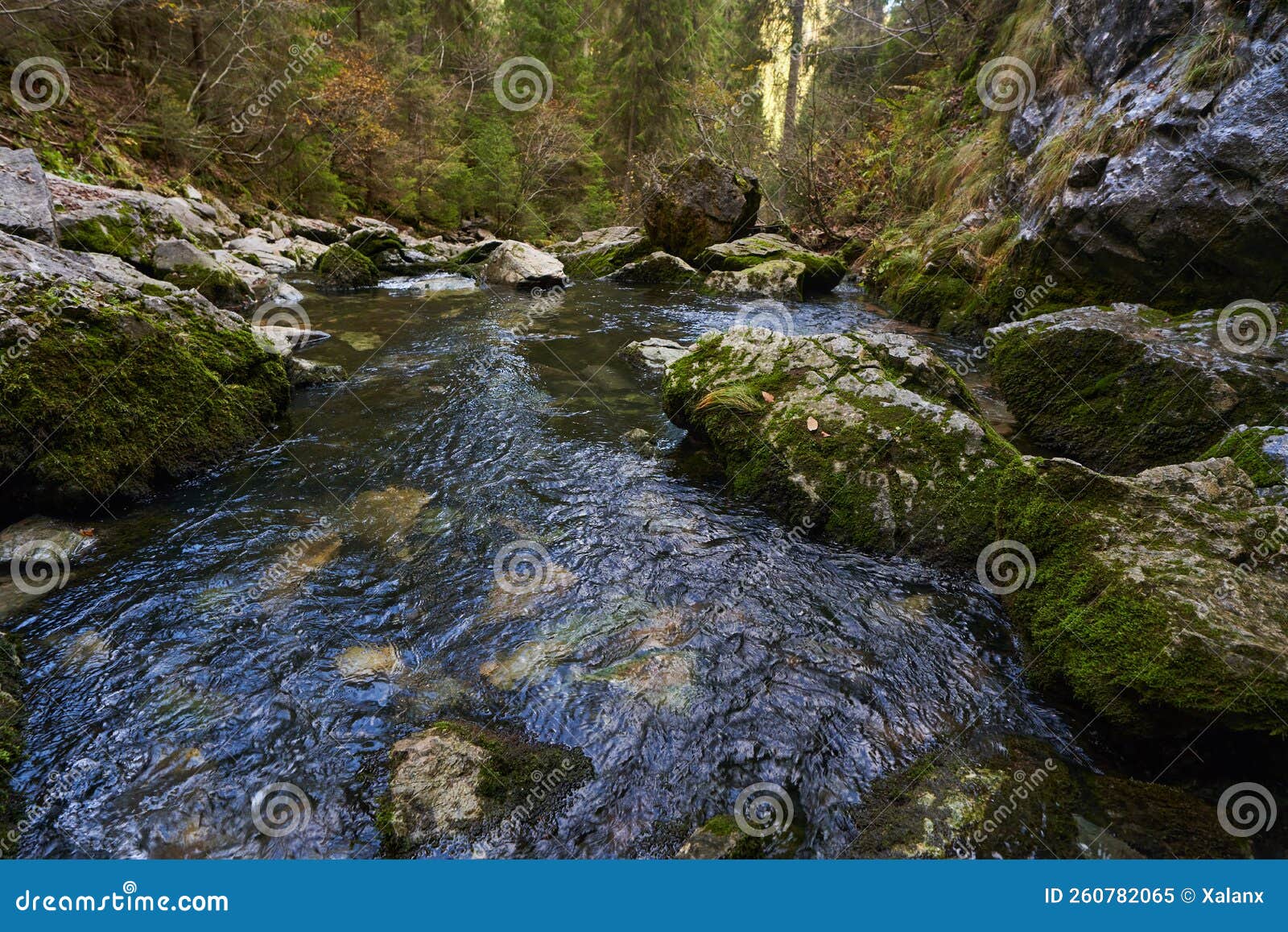 River from a Karst Spring in the Mountains Stock Image - Image of ...