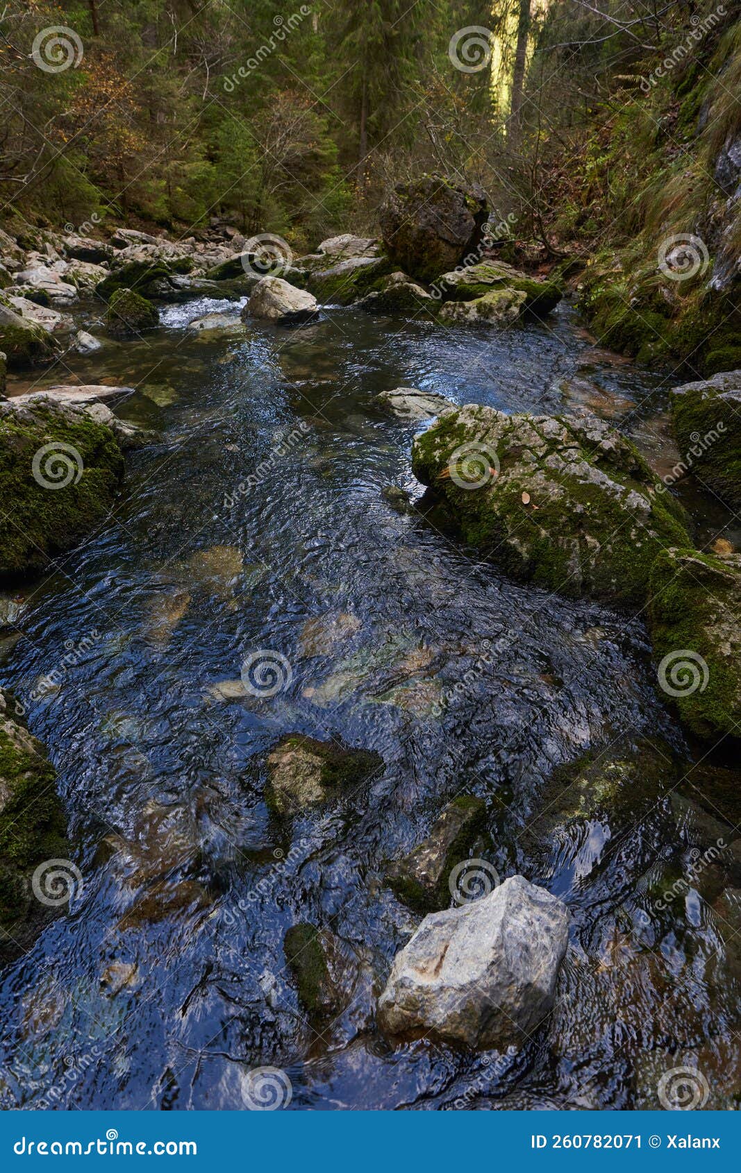 River from a Karst Spring in the Mountains Stock Image - Image of ...