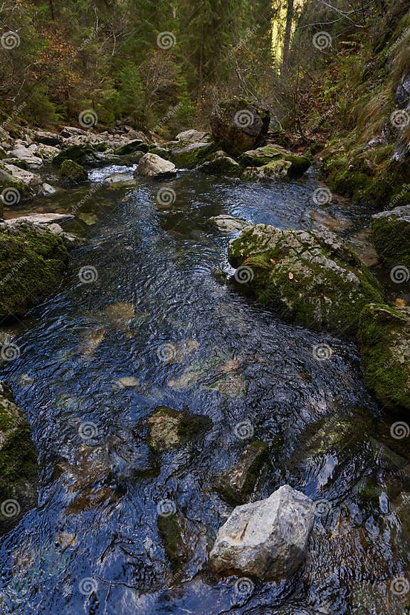 River from a Karst Spring in the Mountains Stock Image - Image of ...