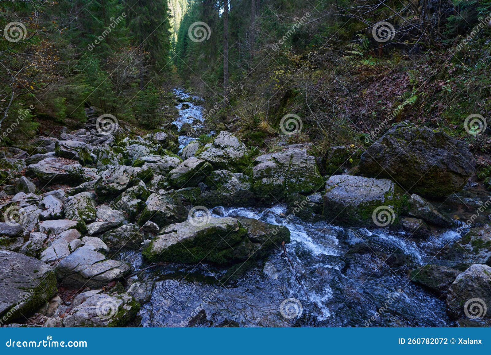 River from a Karst Spring in the Mountains Stock Photo - Image of moss ...