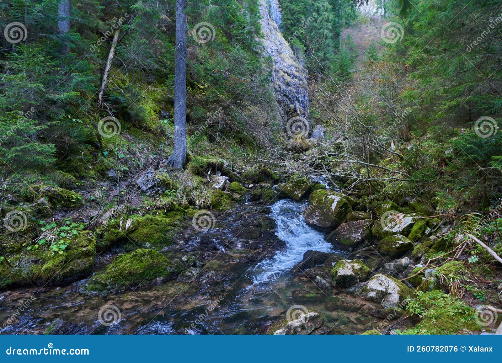 River from a Karst Spring in the Mountains Stock Photo - Image of ...