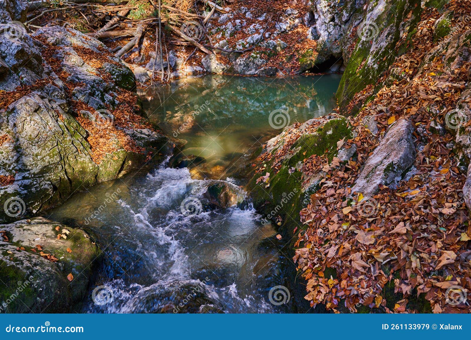 River from a Karst Spring in the Mountains Stock Image - Image of karst ...