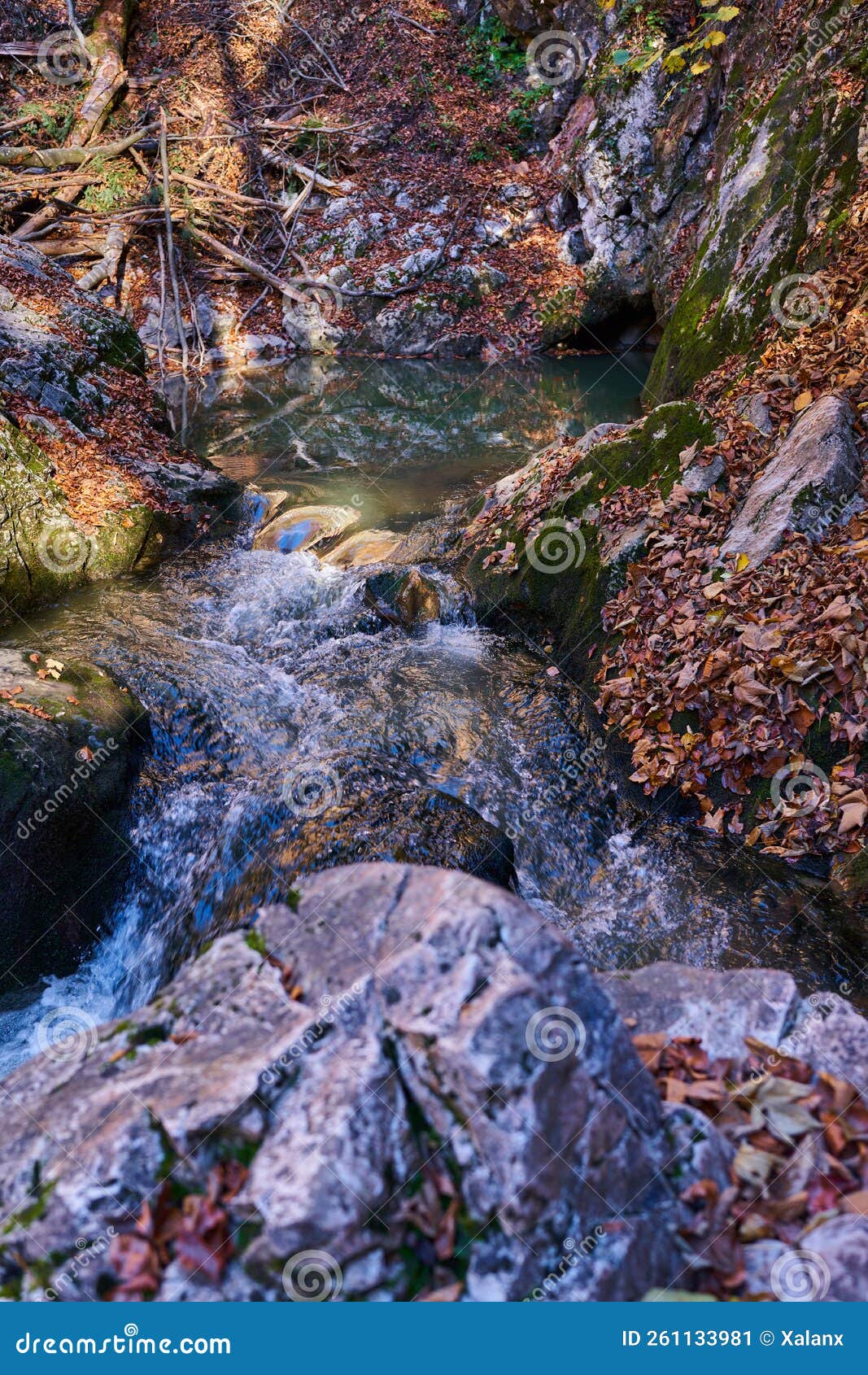 River from a Karst Spring in the Mountains Stock Image - Image of ...