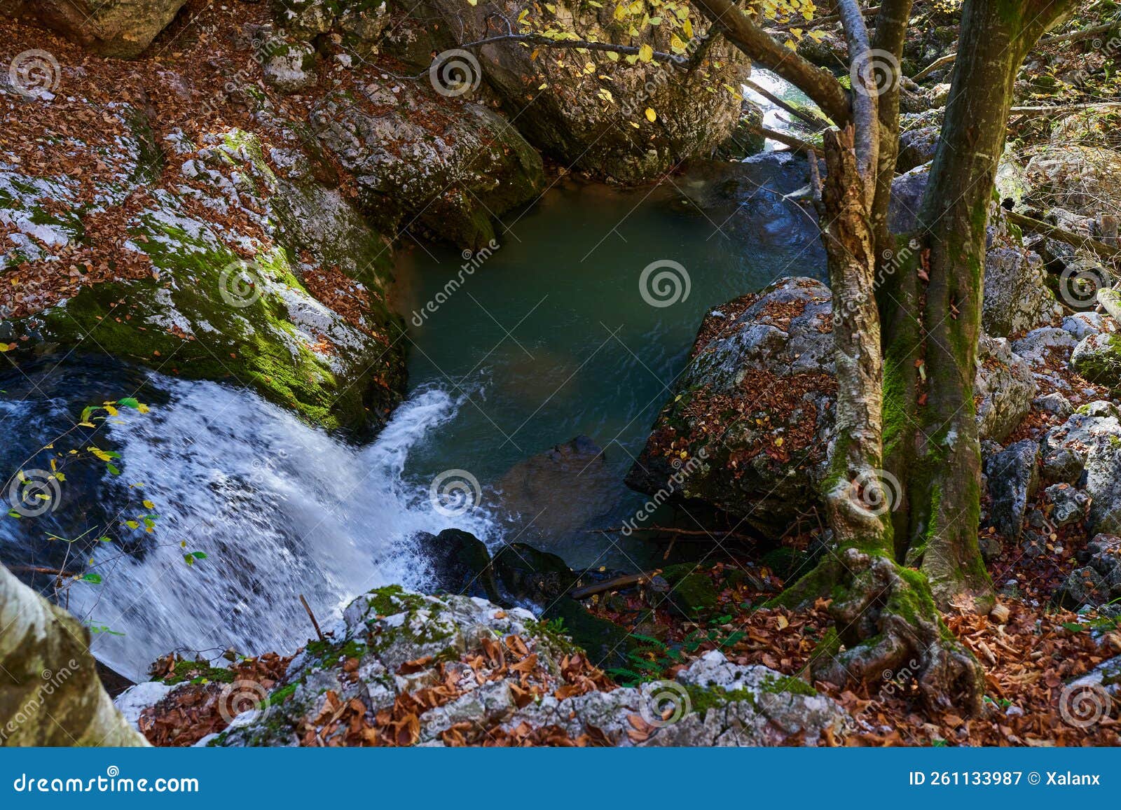 River from a Karst Spring in the Mountains Stock Image - Image of rocky ...