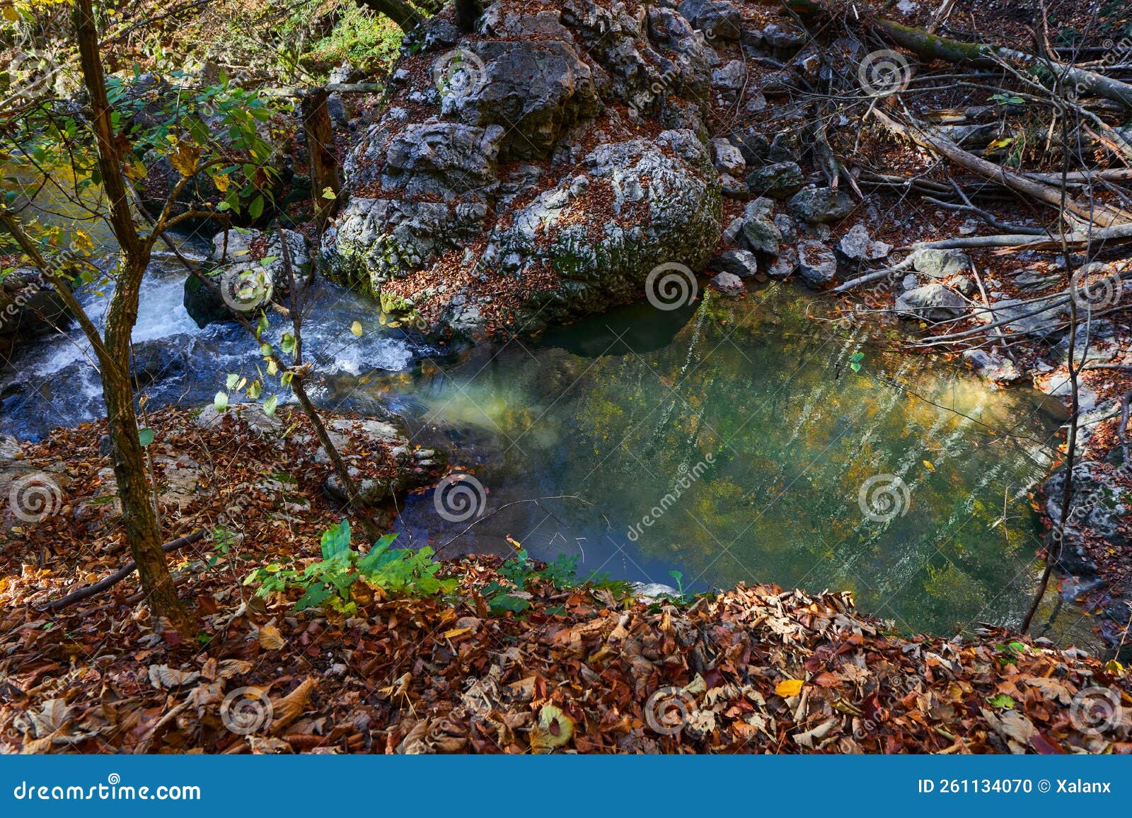 River from a Karst Spring in the Mountains Stock Photo - Image of karst ...