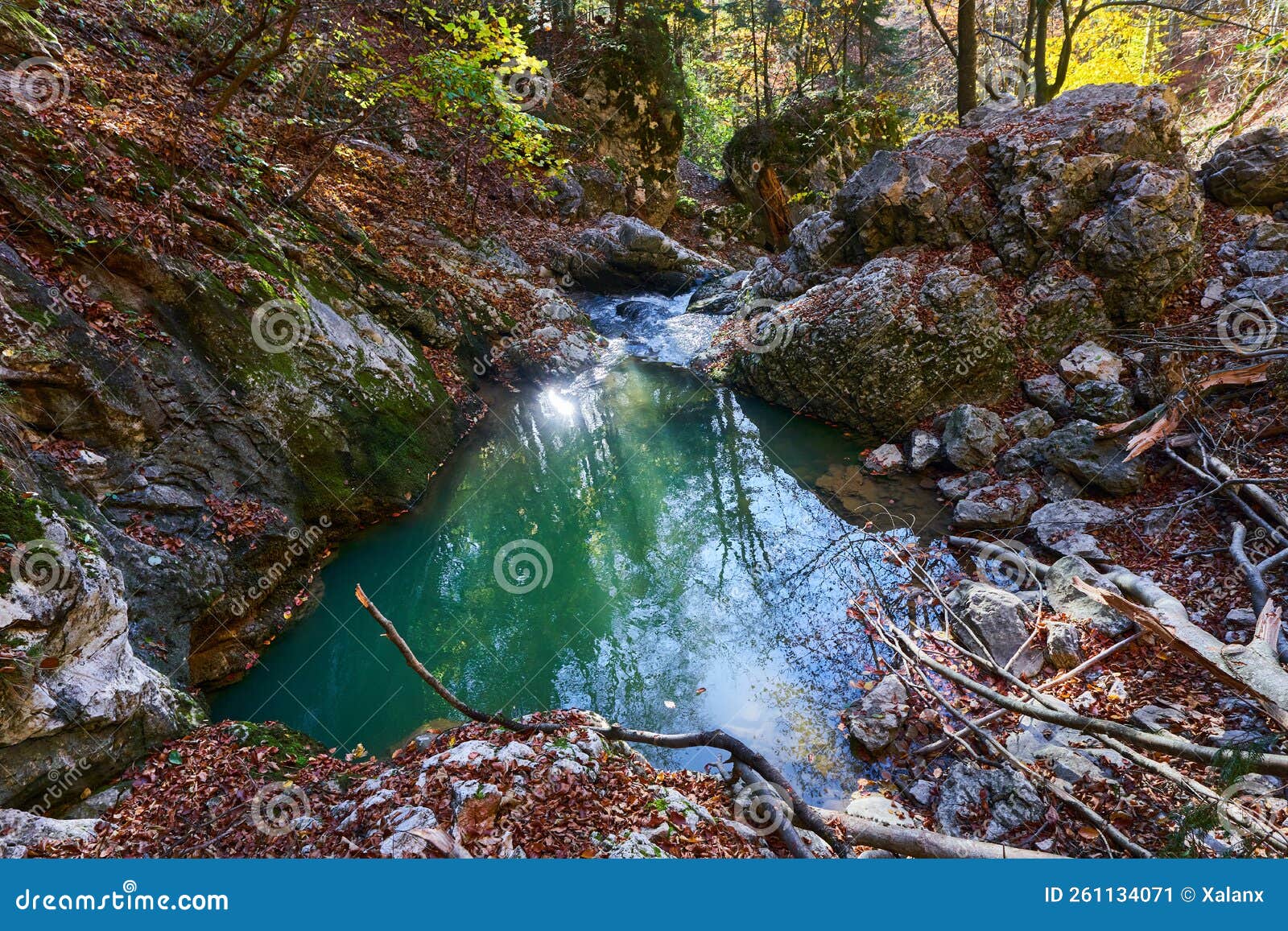 River from a Karst Spring in the Mountains Stock Image - Image of ...