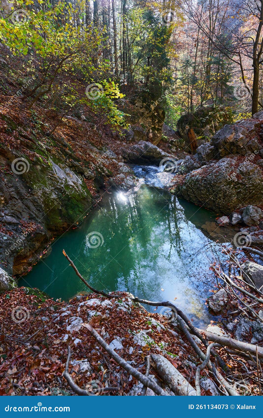 River from a Karst Spring in the Mountains Stock Image - Image of ...