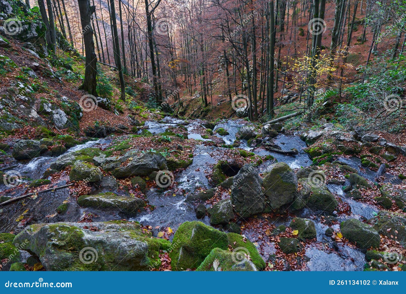 River from a Karst Spring in the Mountains Stock Photo - Image of ...